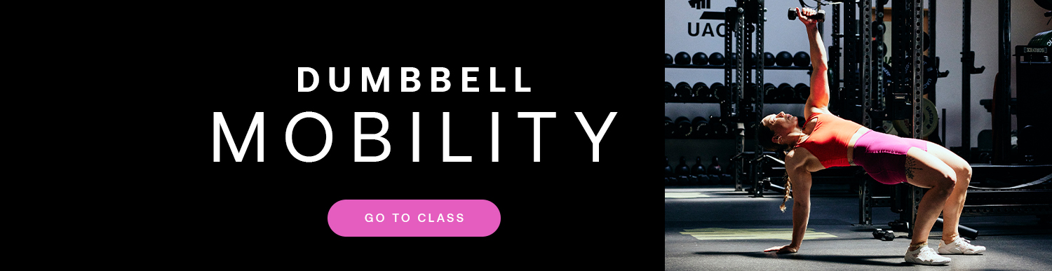 Online Mobility Videos by KaisaFit